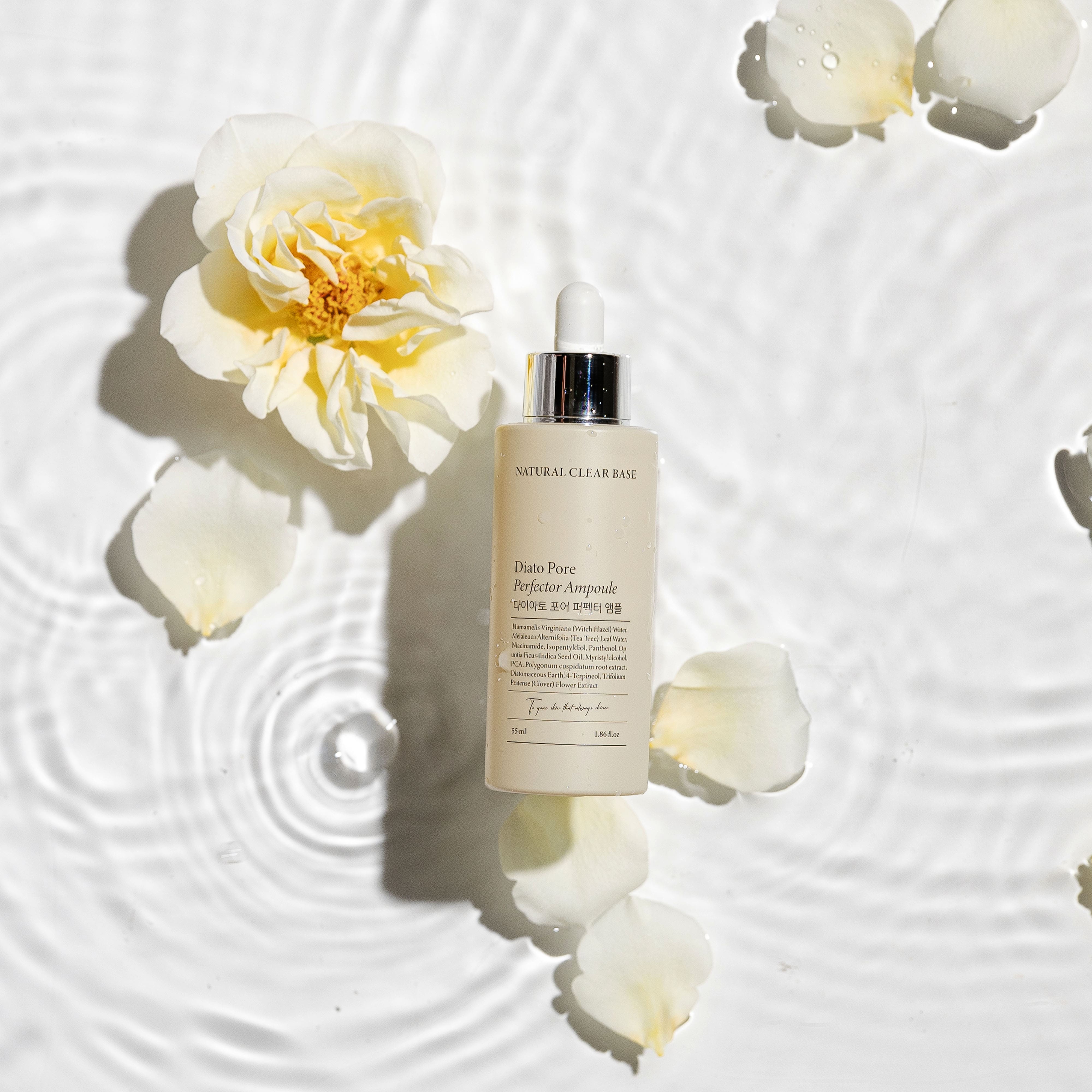 NCB - 네츄럴클리어베이스